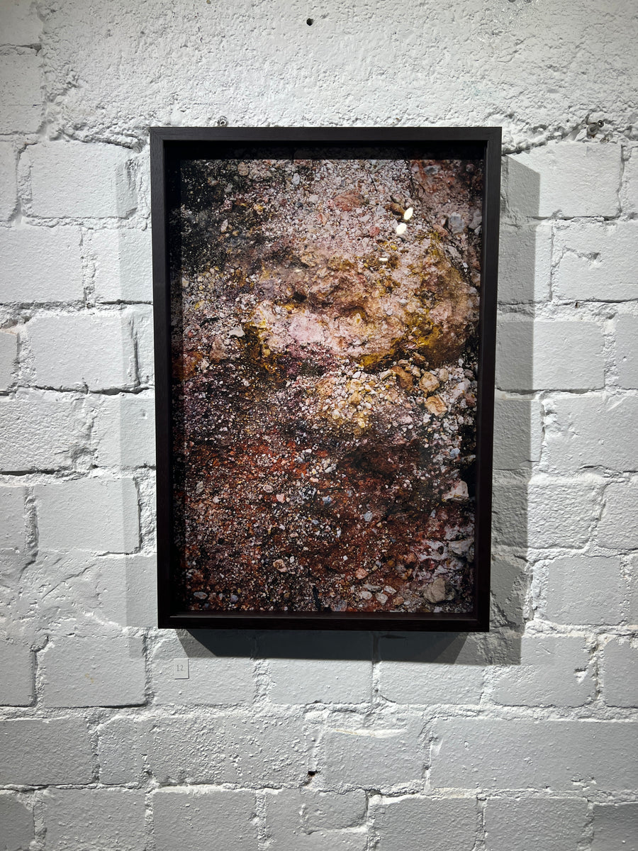 12. 'Scorched Earth' Kākaramea maunga, Rotorua district, 2022 by Flo I ...