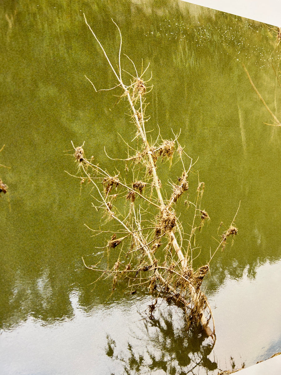 3. 'After the flood' ,Whanganui R–iver, 2022 by Flo Isaacs – Wellington ...