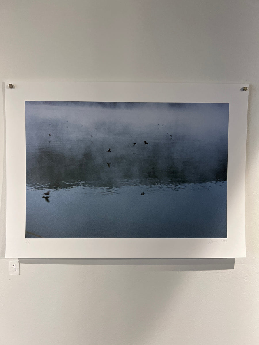 9. 'The birds #2' Rotowhero, Rotorua District, 2022 by Flo Isaacs ...