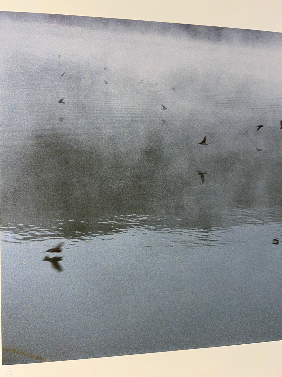 9. 'The birds #2' Rotowhero, Rotorua District, 2022 by Flo Isaacs ...